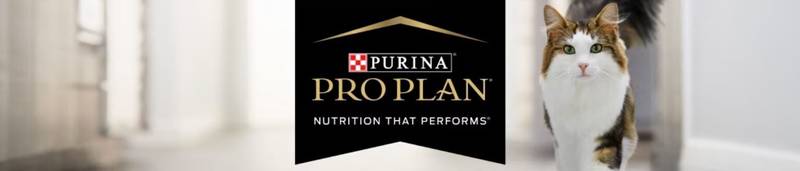 Purina One Vs Purina Pro Plan: The Ultimate Winner In 2025